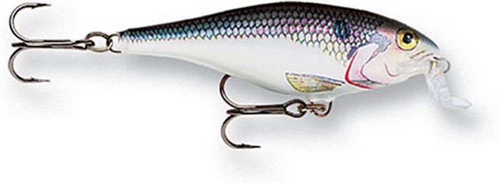 Rapala Shad Rap Shallow 07 2.75" 5/16 oz Fishing Lure Depth: 4' - 6' | eBay